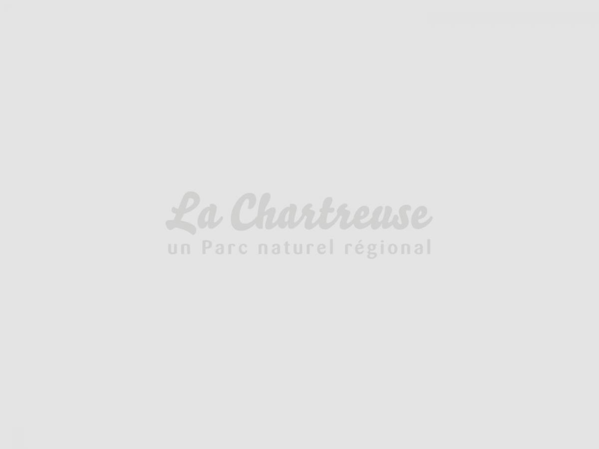 Site Officiel Chartreuse Tourisme en Savoie et Isère, région Rhône ...