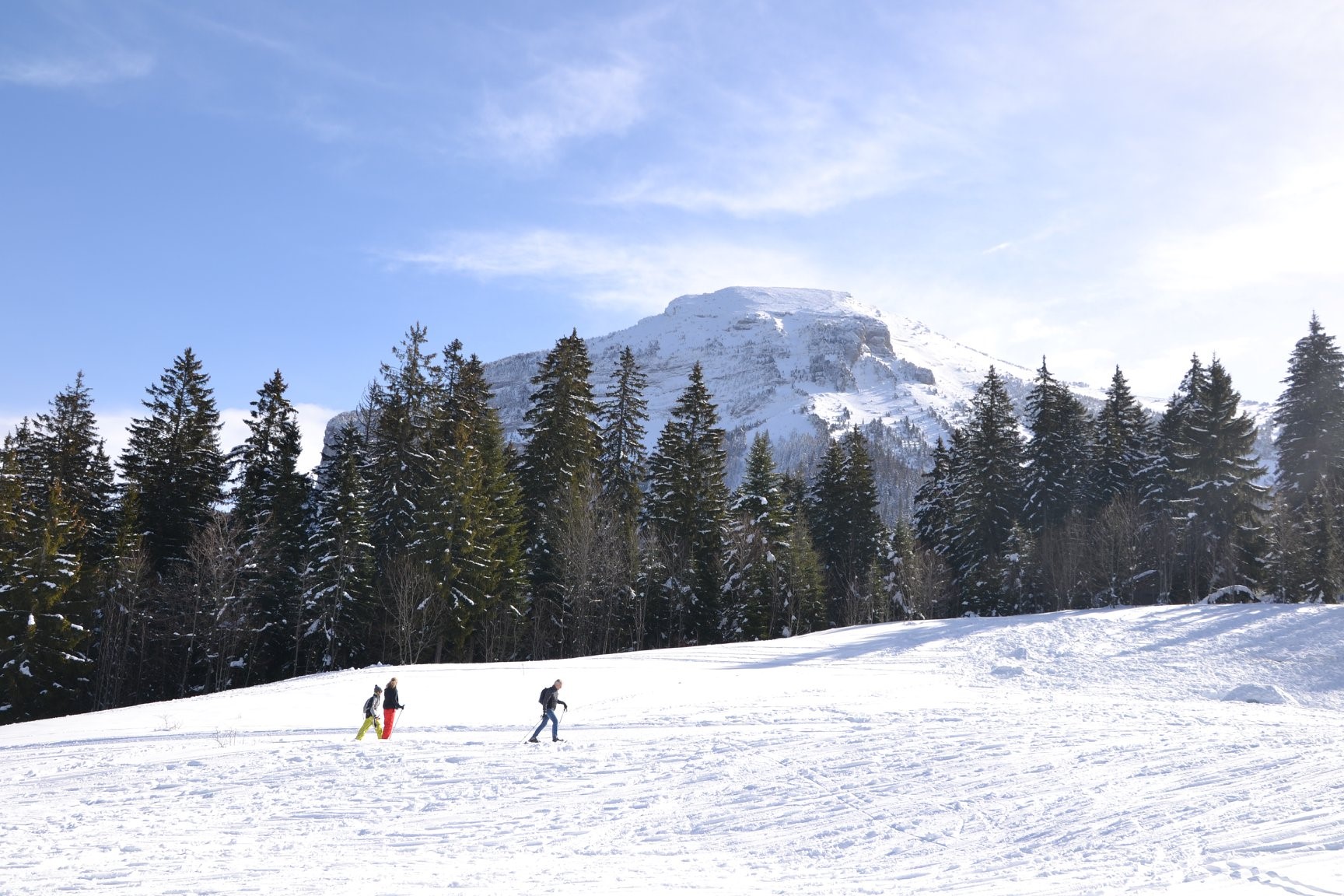 Col de Porte | Official website of the Chartreuse in Savoie and Isère ...