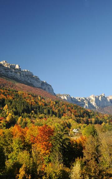 La Chartreuse à l’automne | Site Officiel de la Chartreuse en Savoie et ...