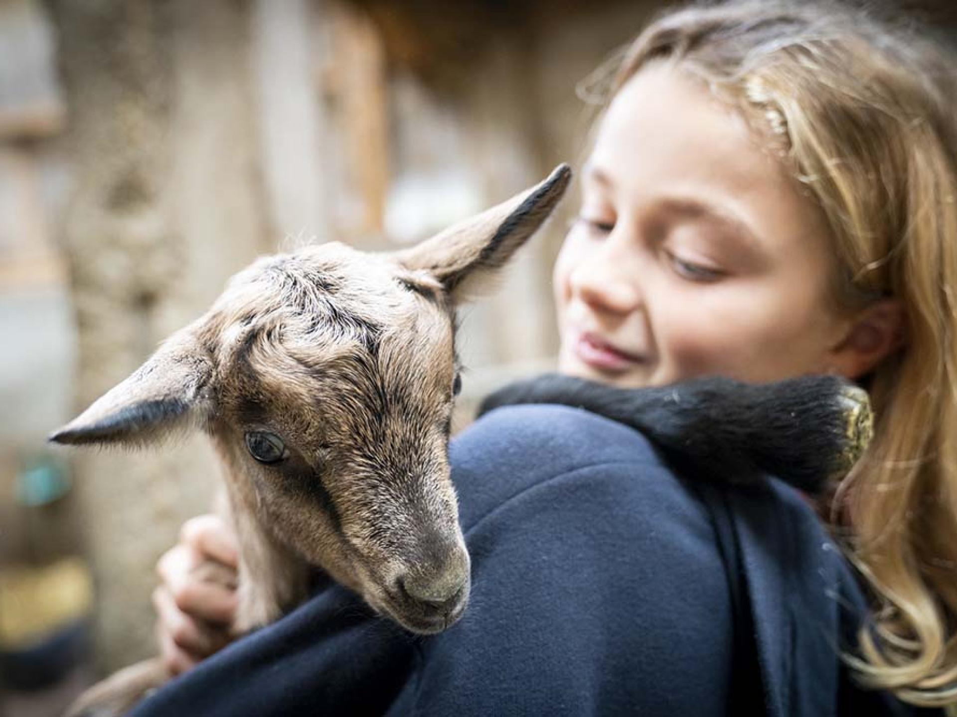 Les 10 randonnées incontournables de Chartreuse ! | Site Officiel de la ...